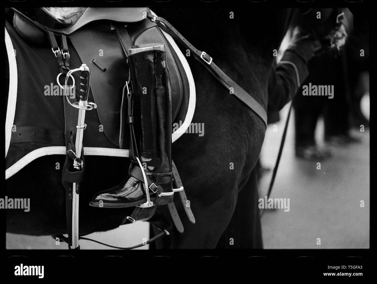 14 2015 credit Black and White Stock Photos & Images - Alamy