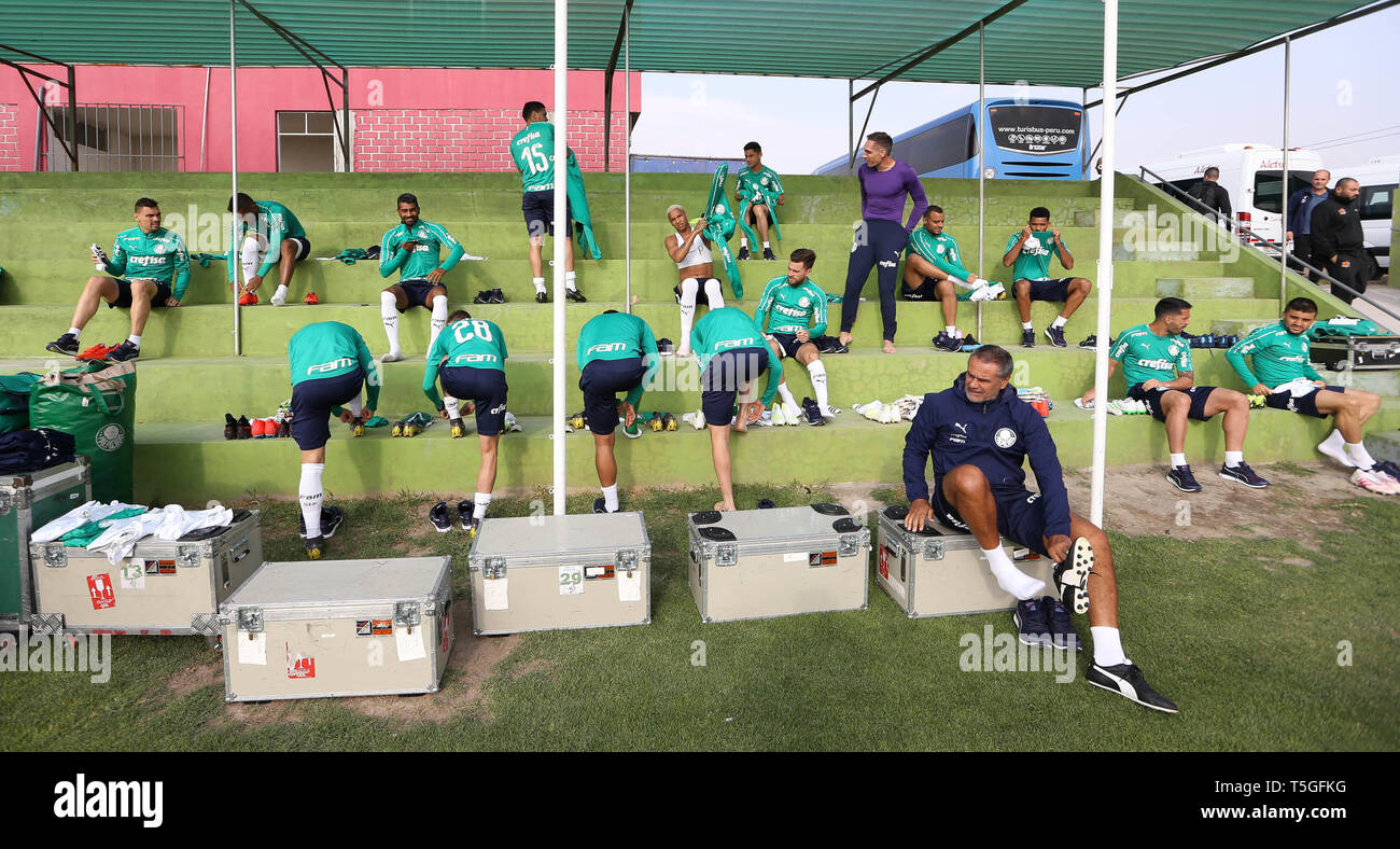 Peruvian football federation hi-res stock photography and images - Alamy