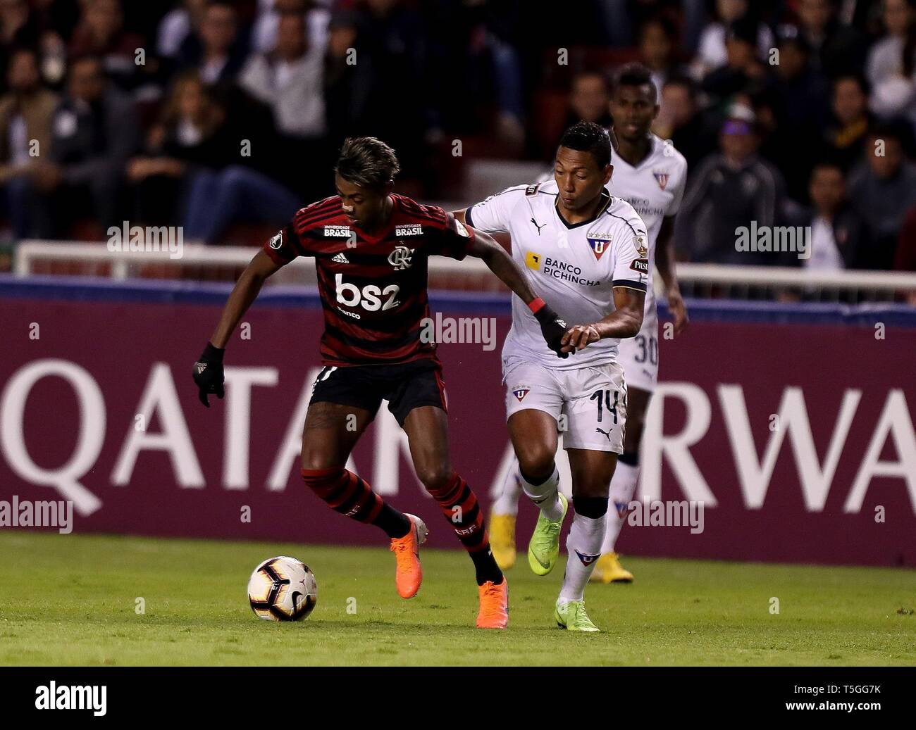 Jose Quintero Stock Photos & Jose Quintero Stock Images - Alamy