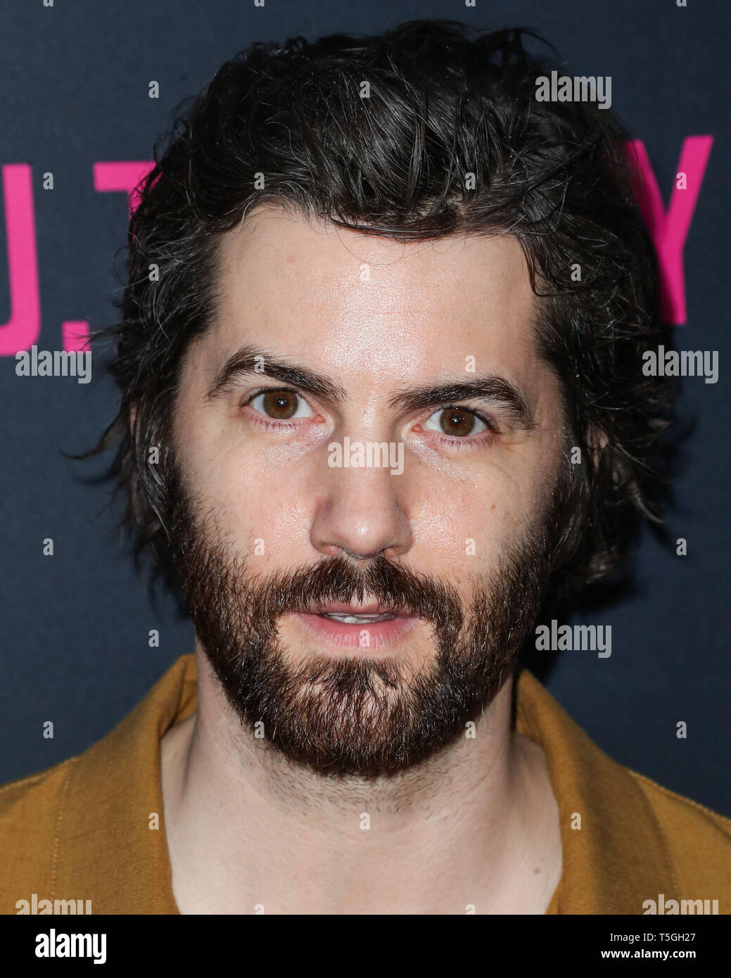 Los Angeles, California, USA. 24th Apr, 2019. Actor Jim Sturgess ...