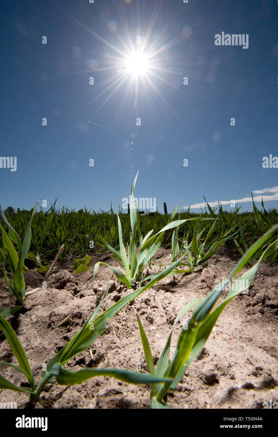 Vegetation regions hi-res stock photography and images - Alamy