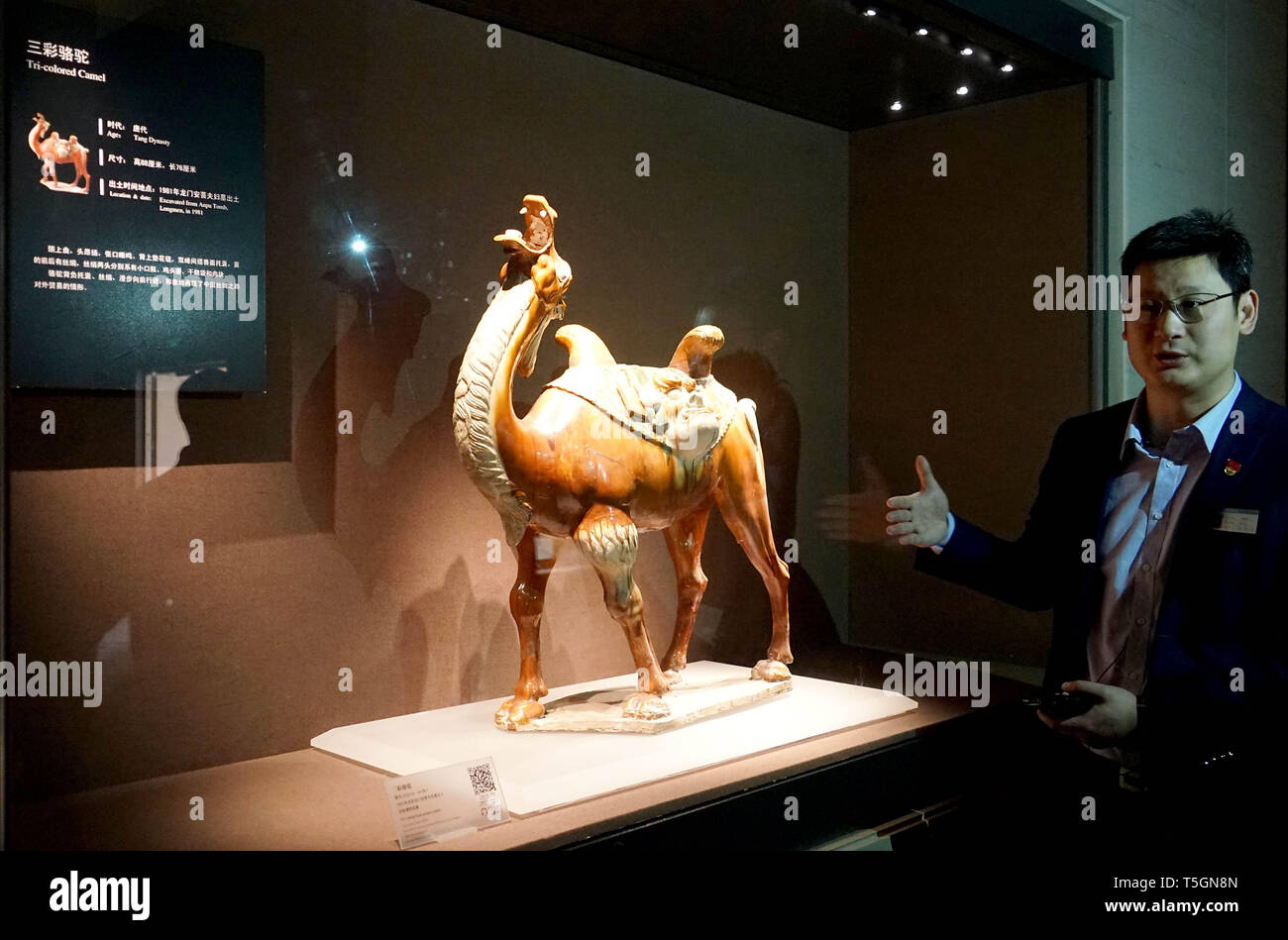 Tang dynasty camel hi-res stock photography and images - Alamy