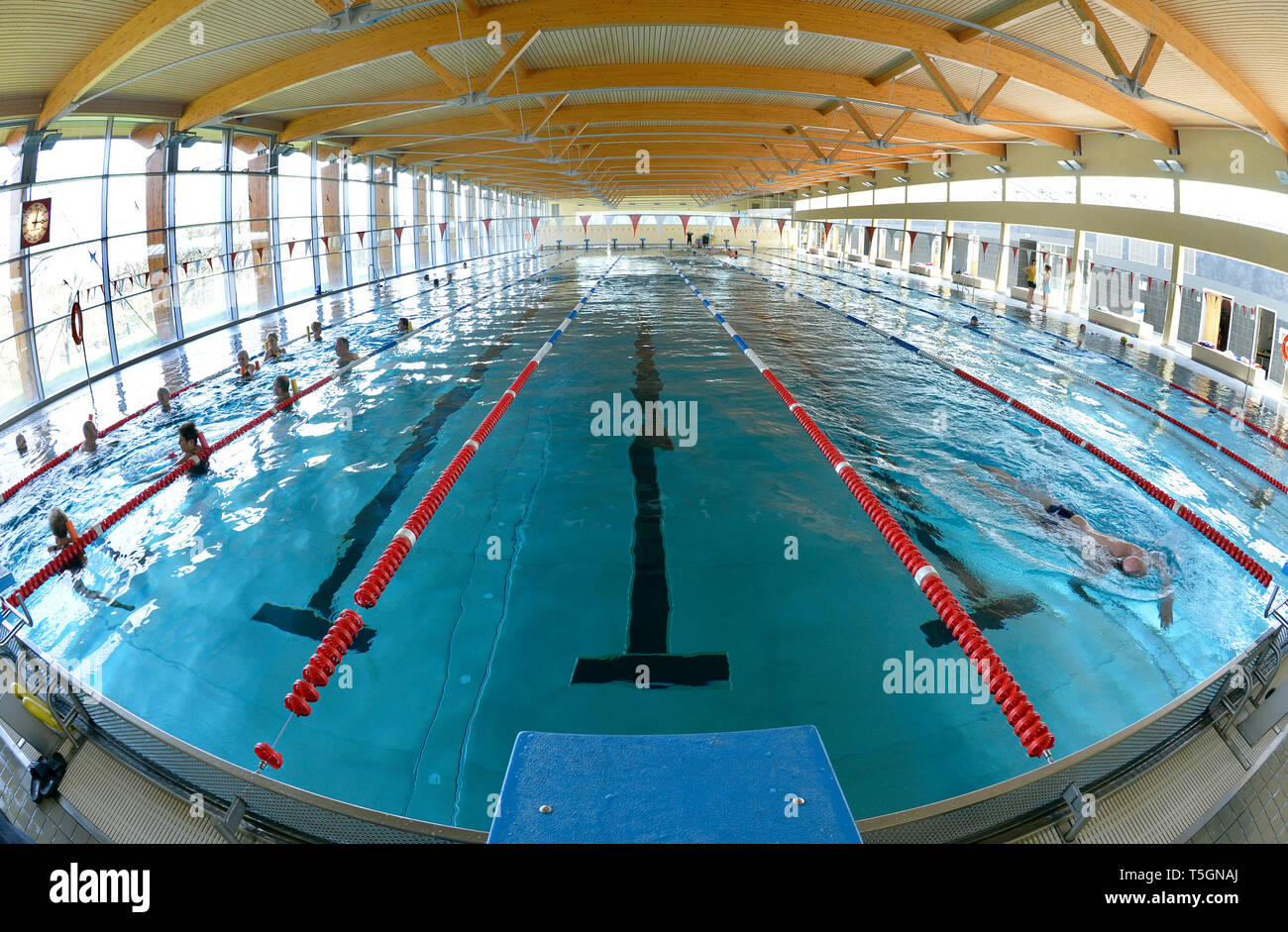 Leipzig, Germany. 04th Apr, 2019. The swimming pool at the sports pool ...