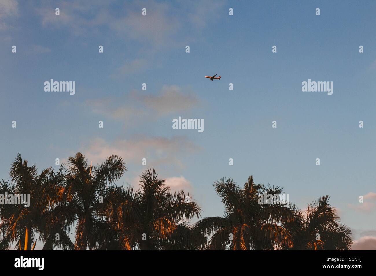 Business jet over trees hi-res stock photography and images - Alamy