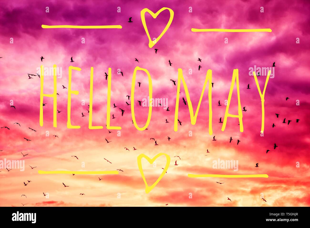 banner hello may. hello may text on sky background. text against the ...