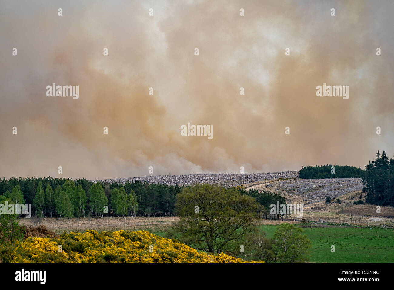 Wildfire scotland 2019 hi-res stock photography and images - Alamy