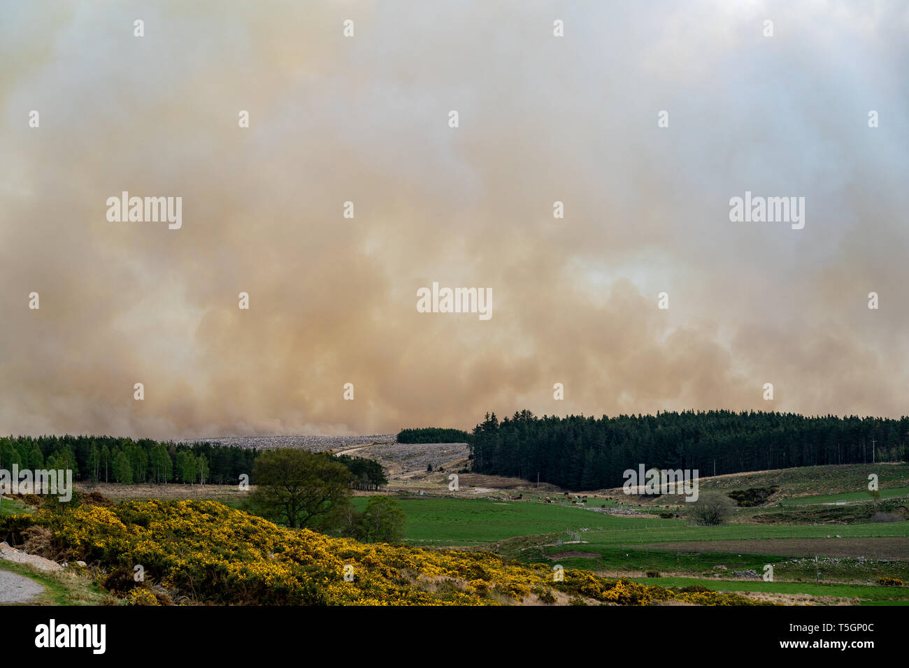 Wildfire scotland 2019 hi-res stock photography and images - Alamy