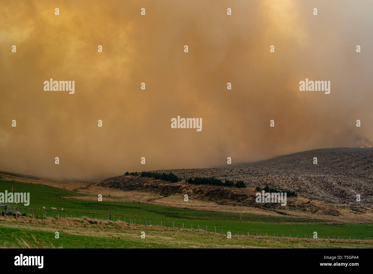 Wildfire scotland 2019 hi-res stock photography and images - Alamy