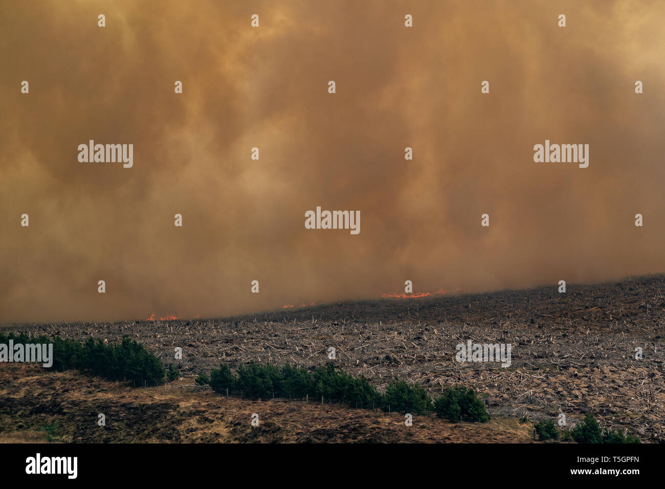 Knockando hi-res stock photography and images - Alamy