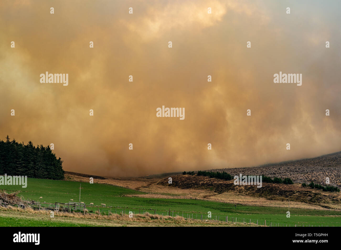 Wildfire scotland 2019 hi-res stock photography and images - Alamy