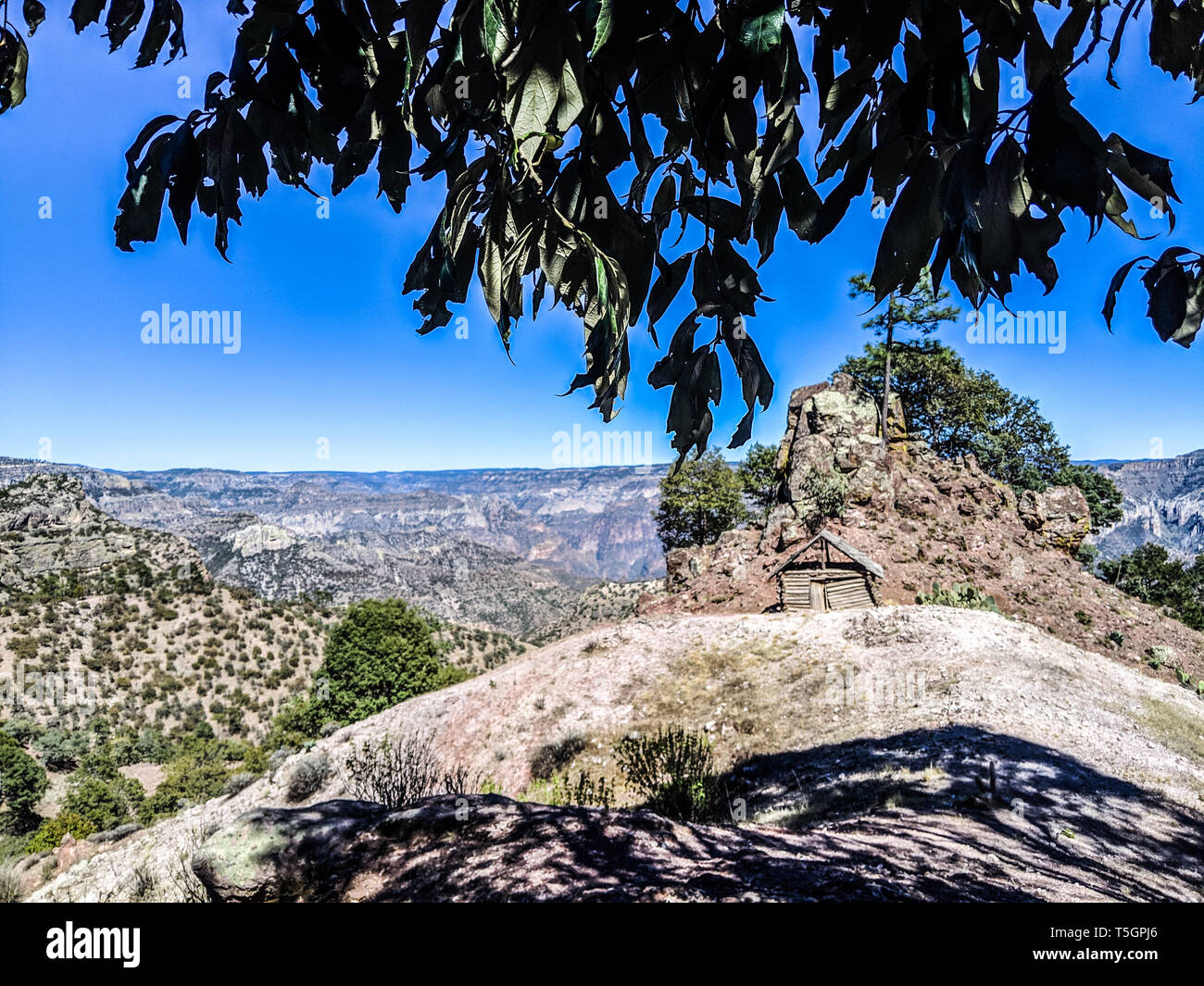 Copper canyon mexico hiking hi-res stock photography and images - Alamy