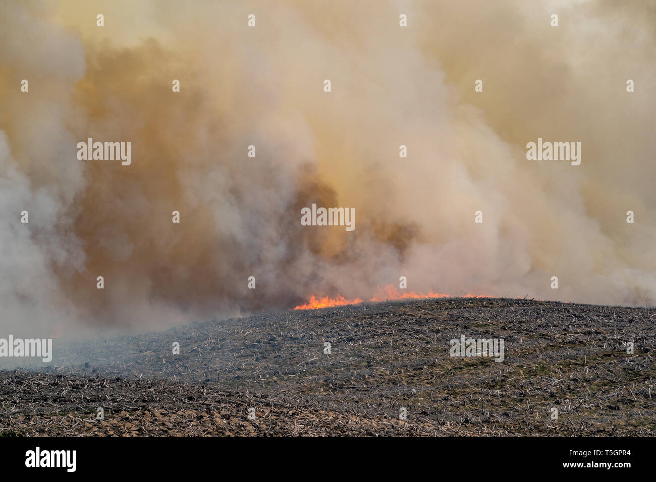 This is from the raging wildfire extending between Knockando and ...