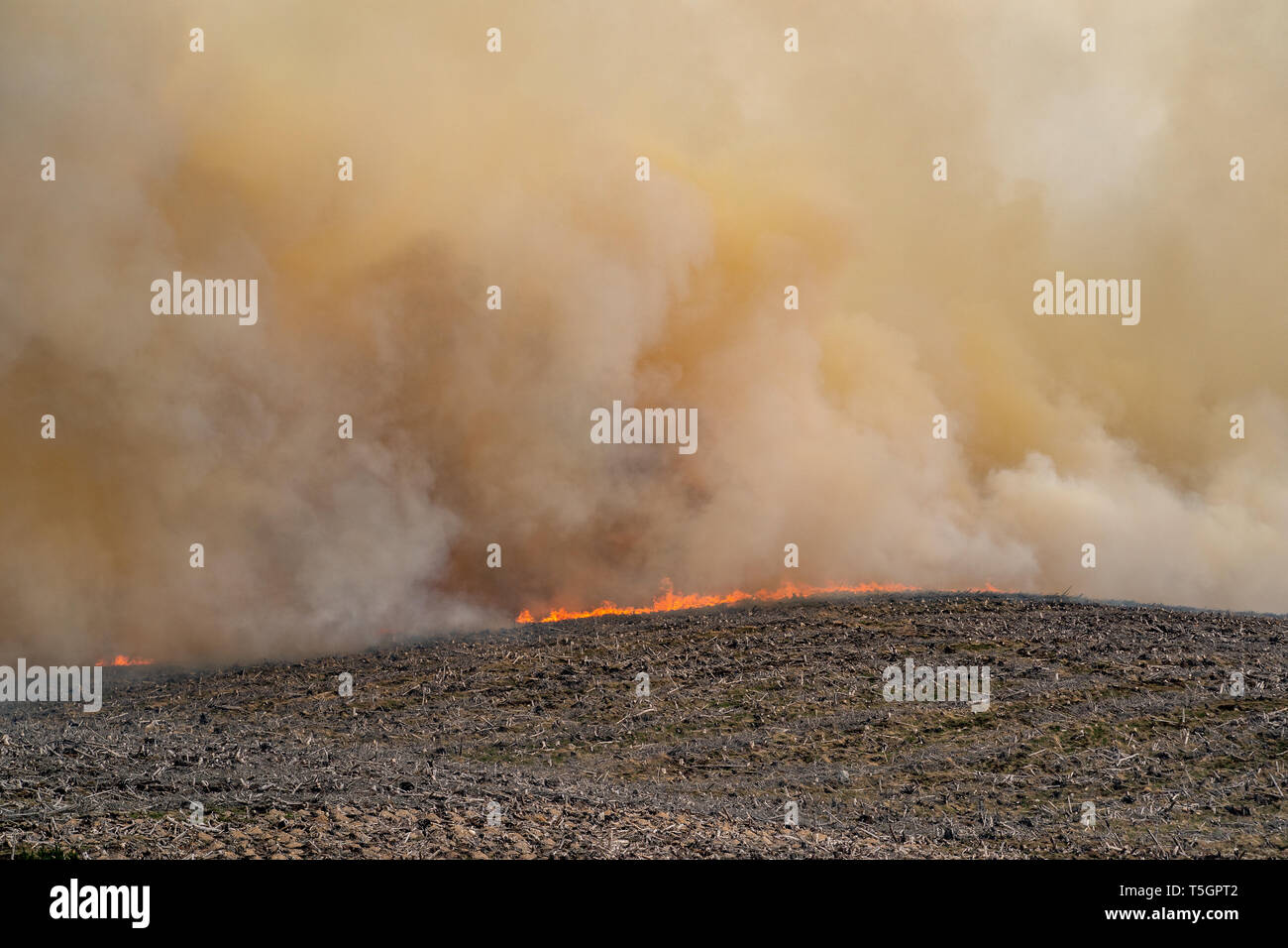 This is from the raging wildfire extending between Knockando and ...