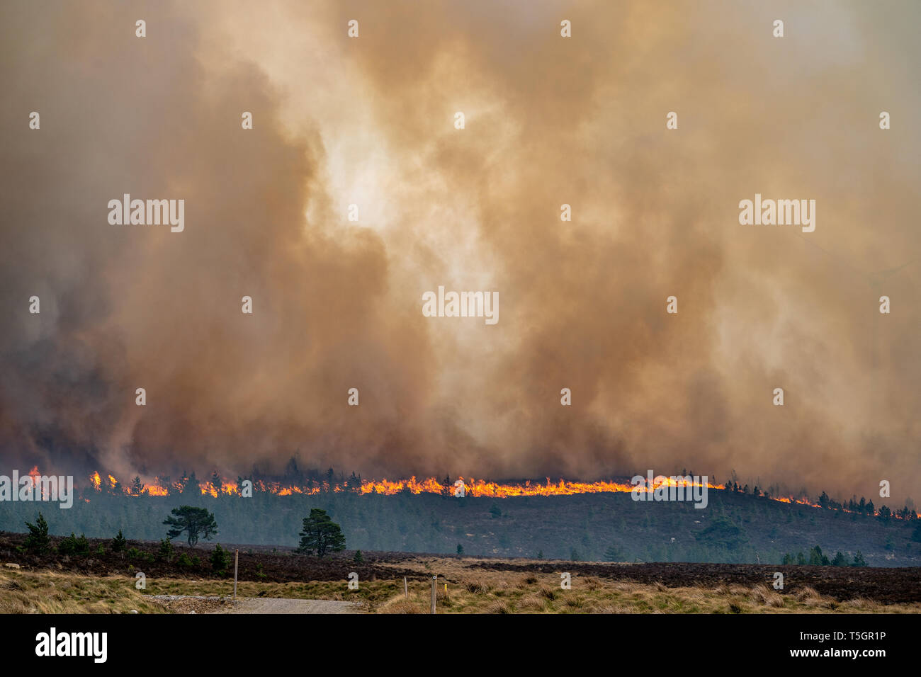 Knockando hi-res stock photography and images - Alamy