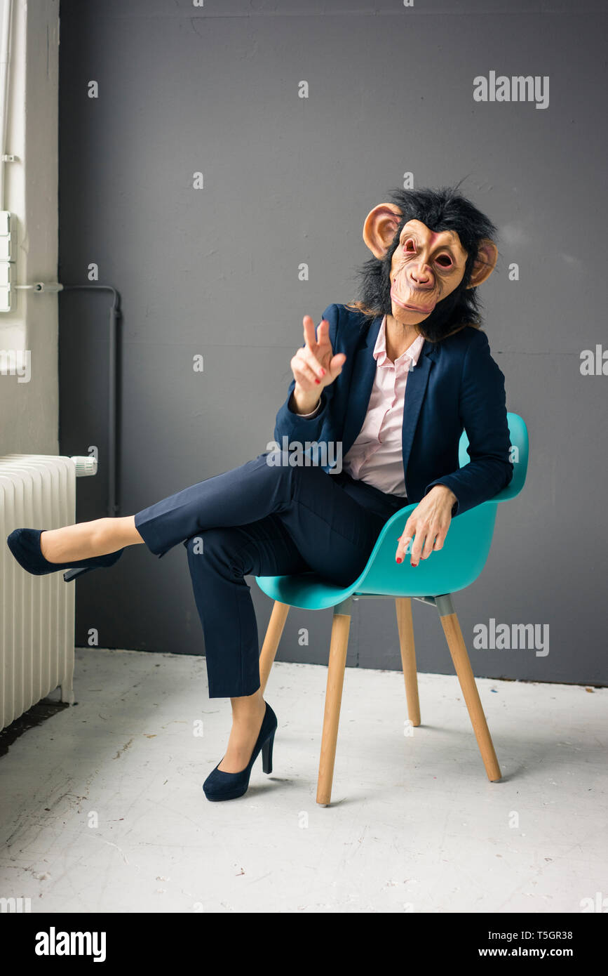 Monkey sitting on chair hi-res stock photography and images - Alamy