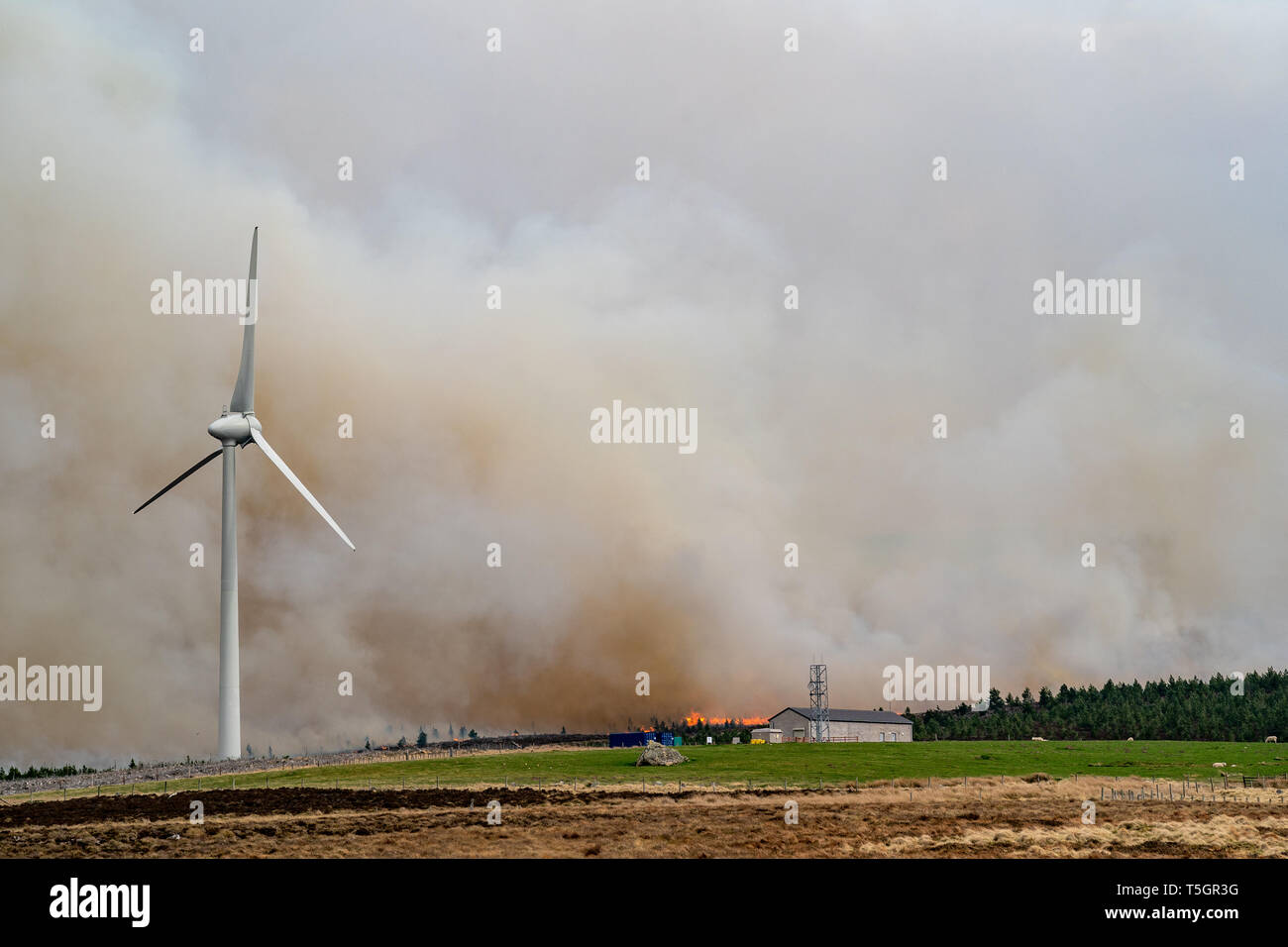 Knockando hi-res stock photography and images - Alamy