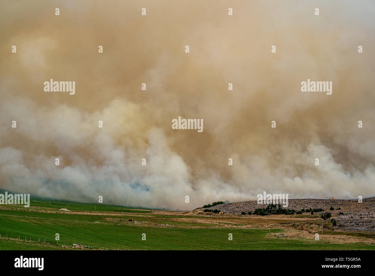 Wildfire scotland 2019 hi-res stock photography and images - Alamy