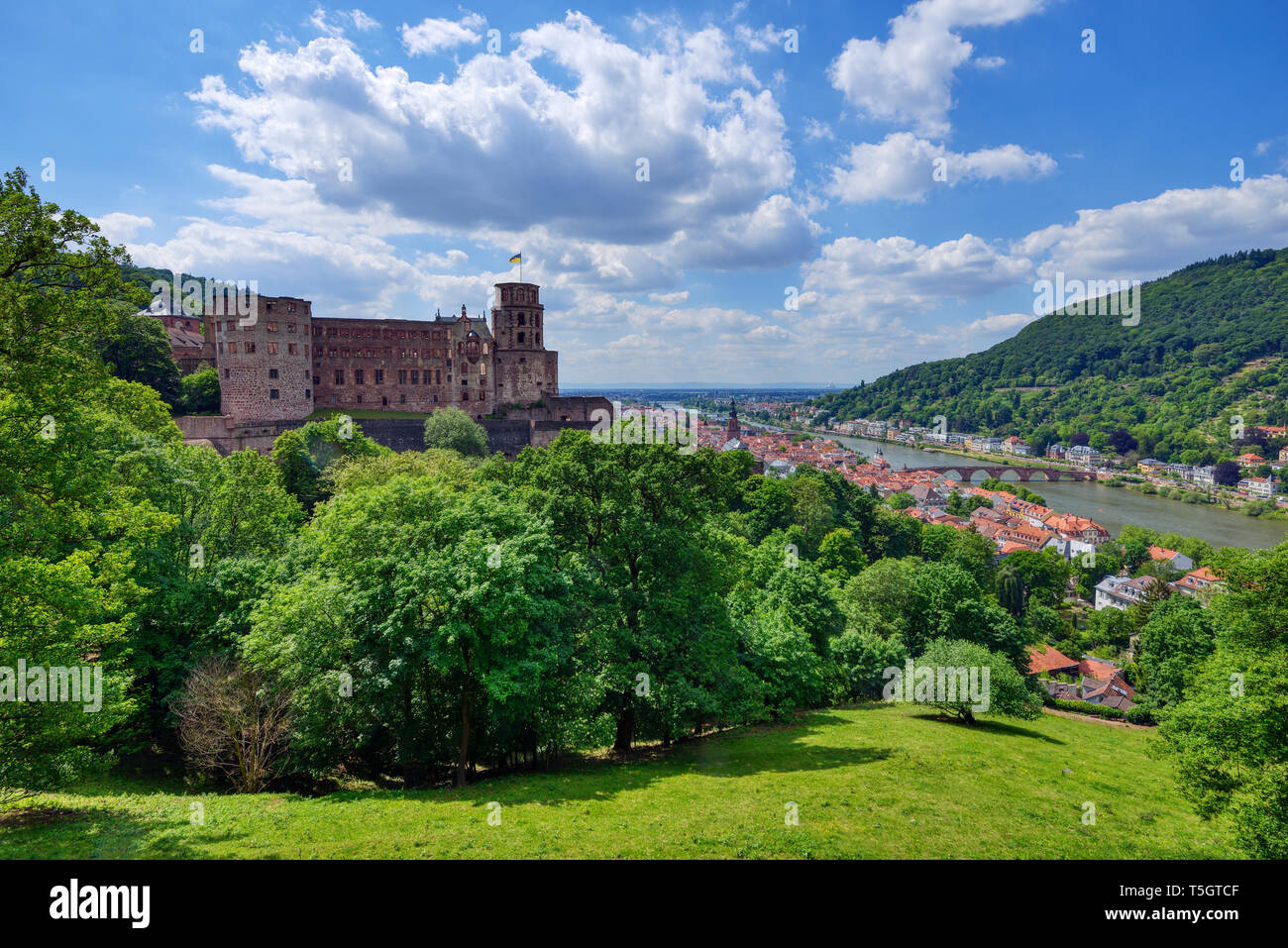 Heidelberg Castle with Neckar River and Old Bridge, Bade. Wurttemberg ...
