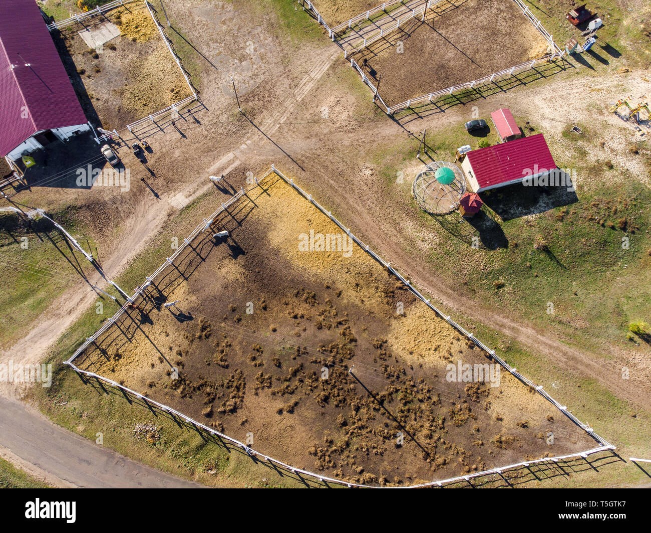 Equine Barns High Resolution Stock Photography and Images - Alamy