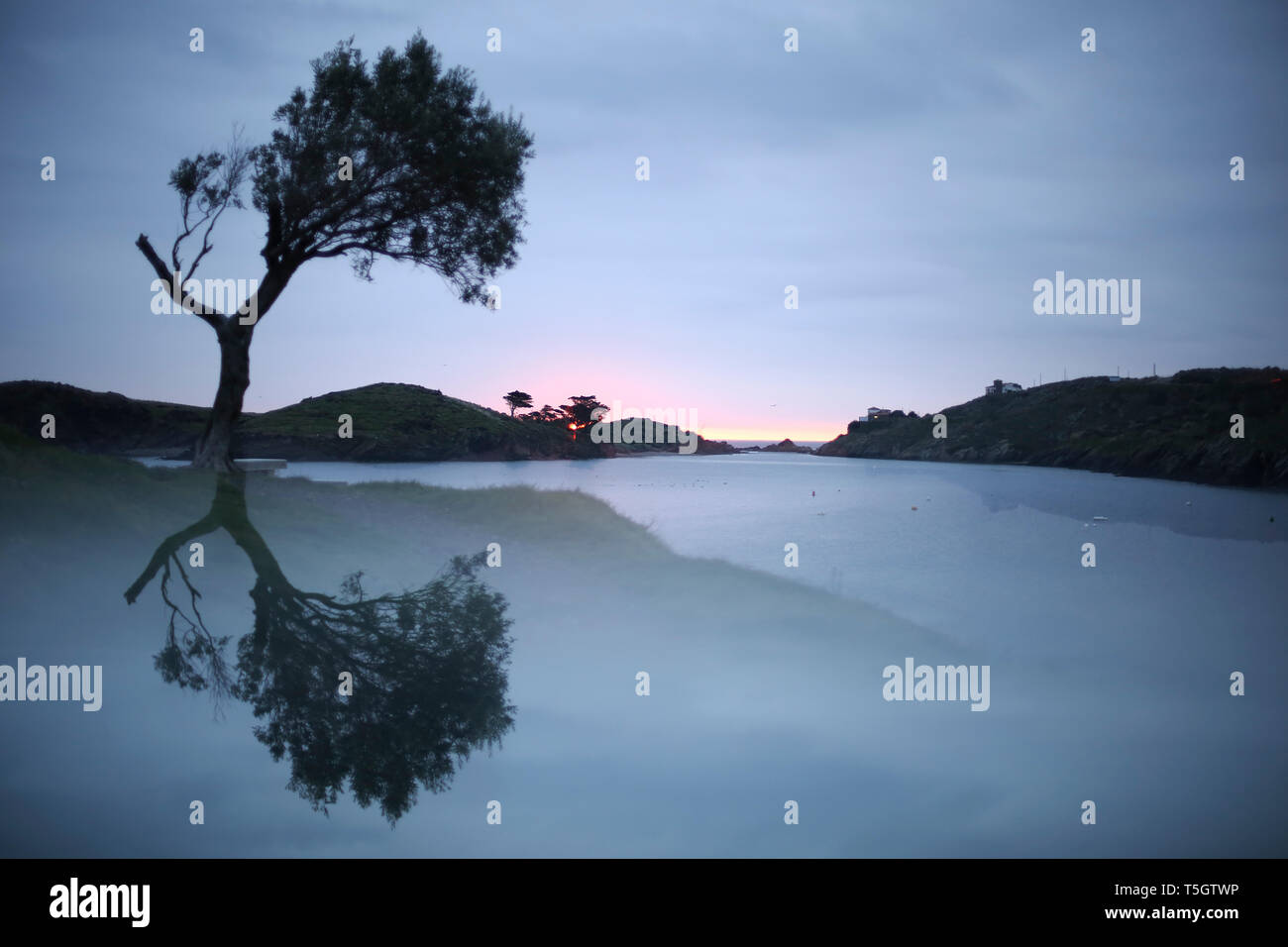 Spain, Cadaques, Costa Brava, water reflection of tree at dawn Stock ...