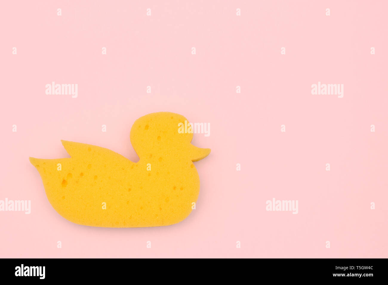 Scrub bird bath hi-res stock photography and images - Alamy