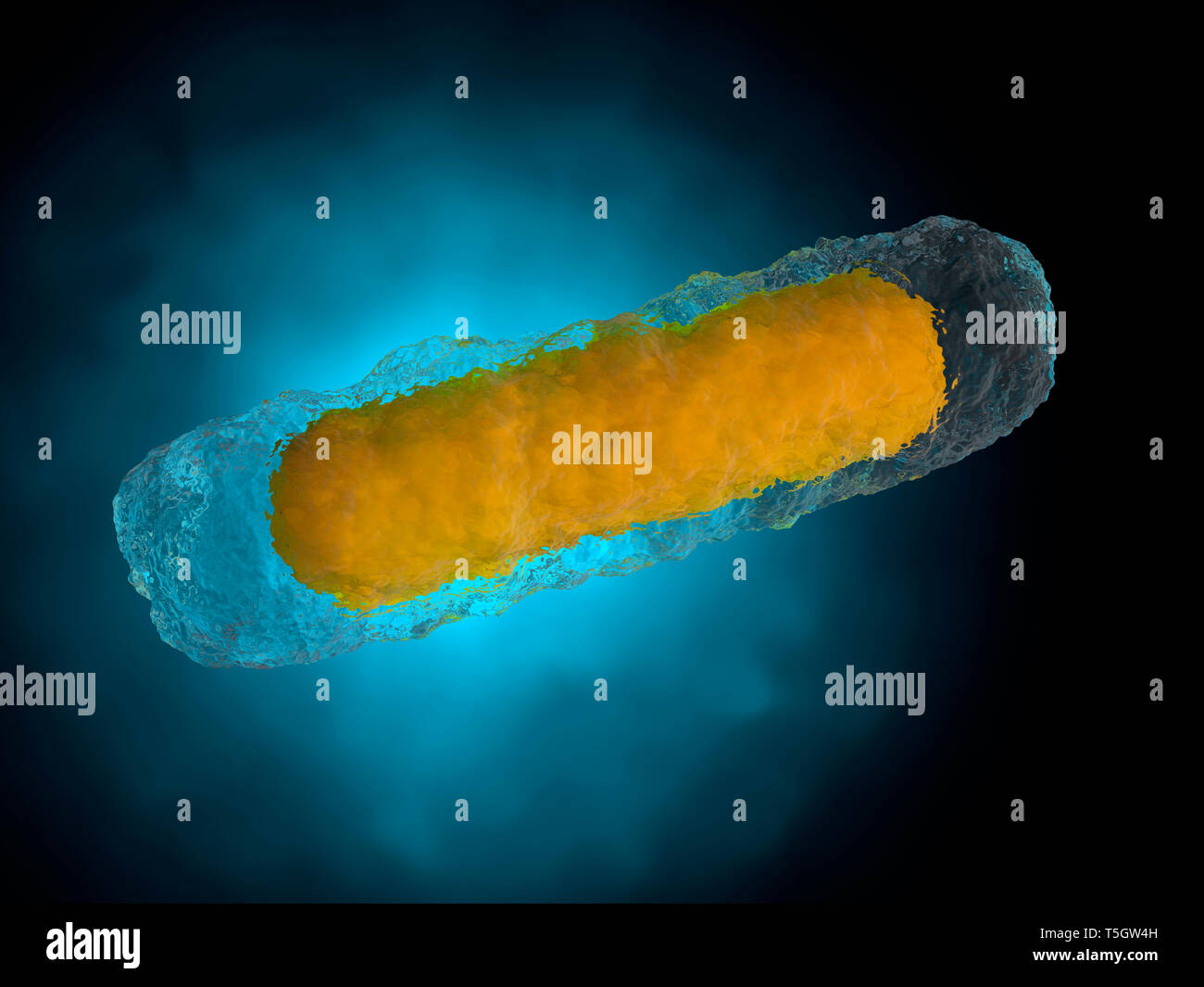 3D rendered illustration of a generic Bacteria Stock Photo - Alamy