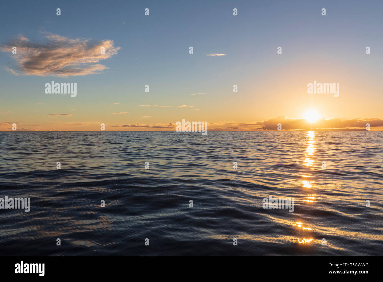 Island of niihau hi-res stock photography and images - Alamy