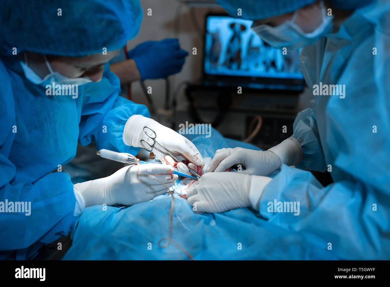 Female Surgeon Gloves High Resolution Stock Photography and Images - Alamy
