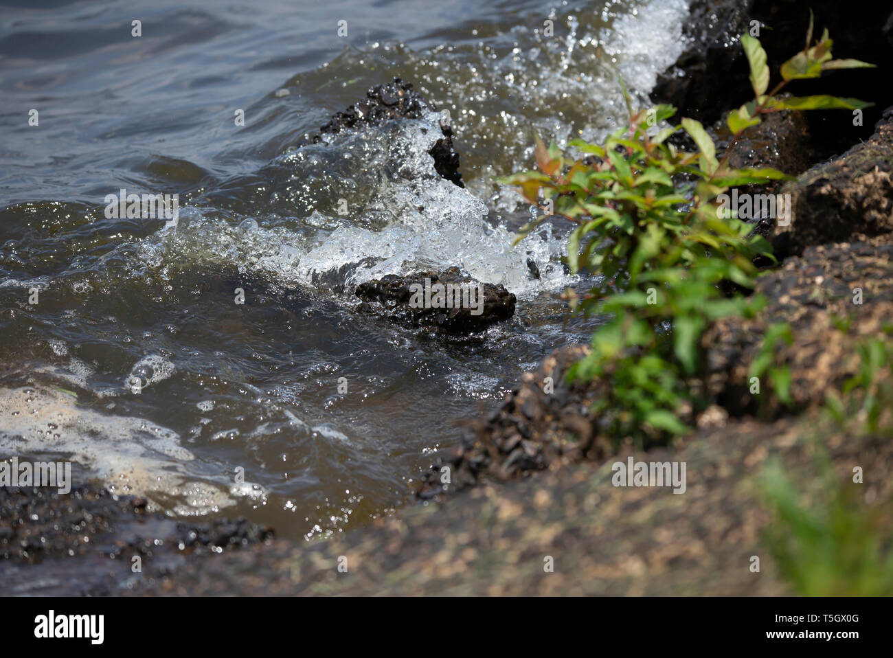 Close up waves hitting coastal hi-res stock photography and images - Alamy