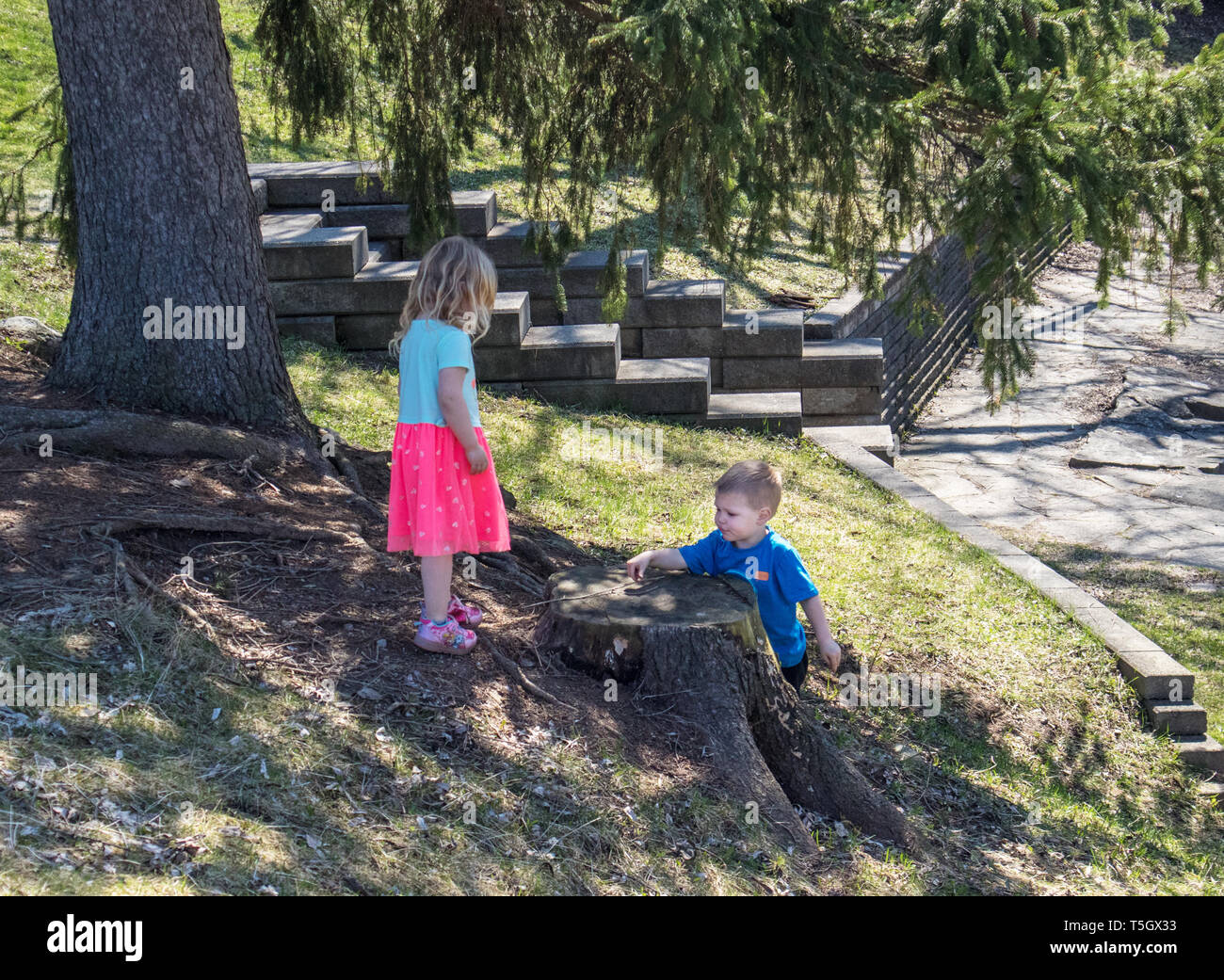A little boy and a girl playing around a tree stump in the park Stock ...