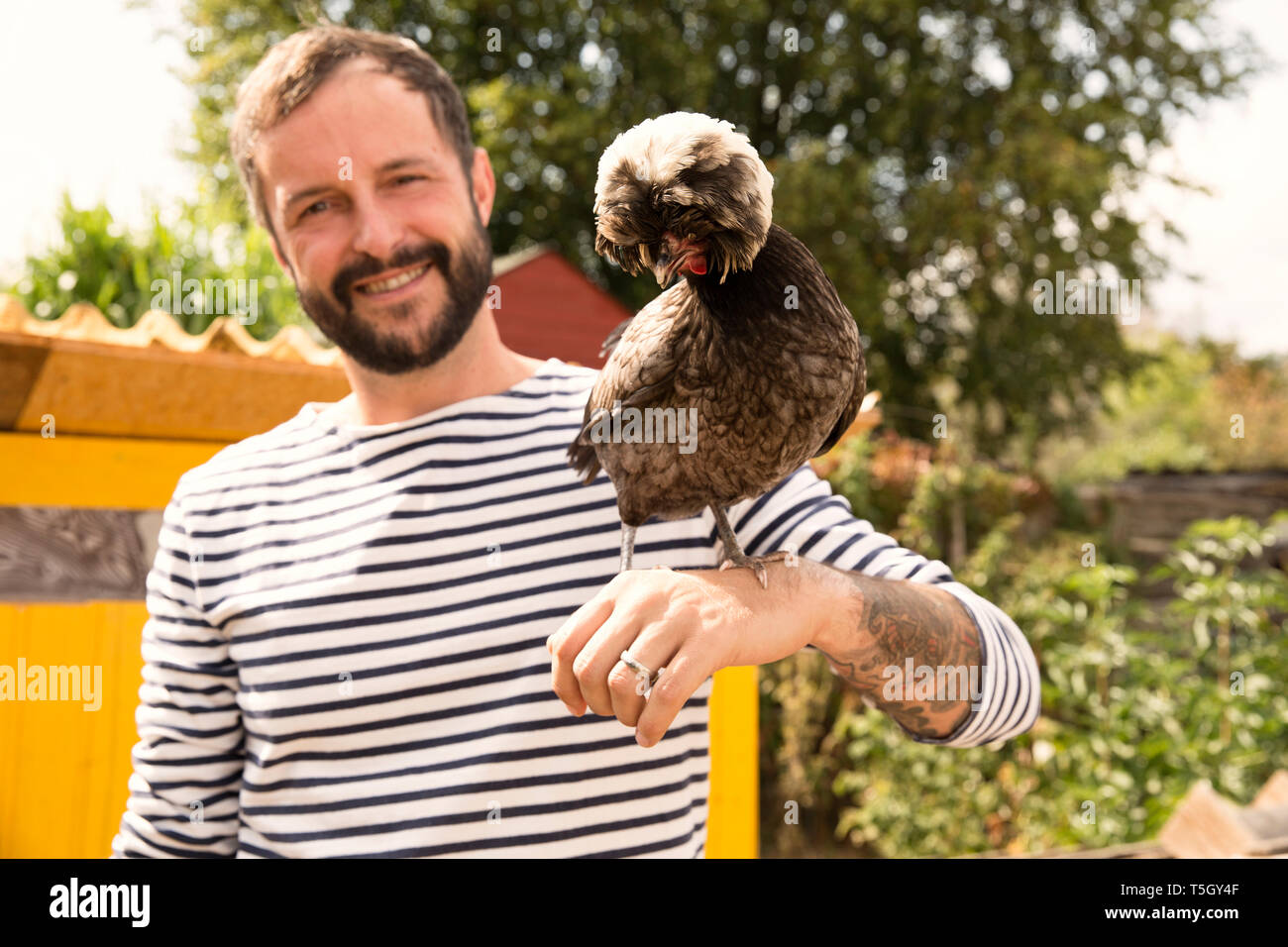 Portrait of smiling man with Polish chicken at chickenhouse in garden ...