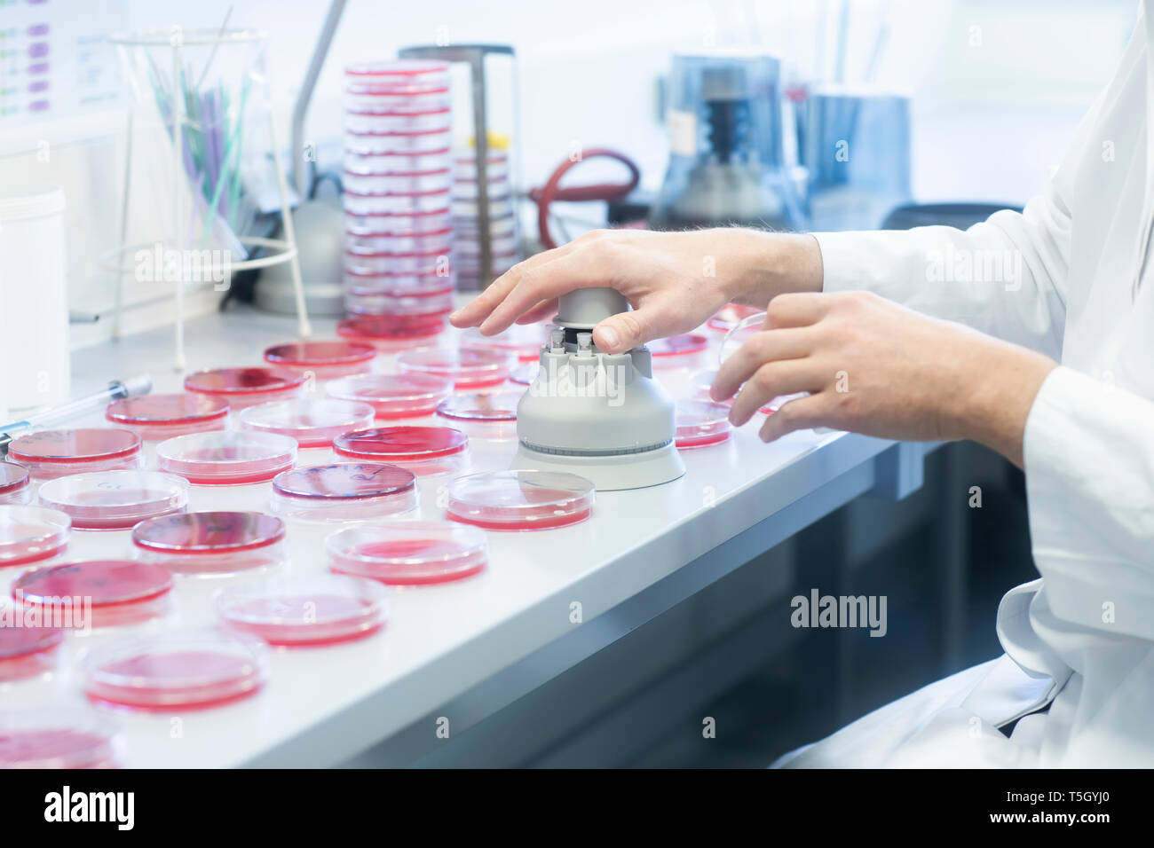 Lab to table hi-res stock photography and images - Alamy
