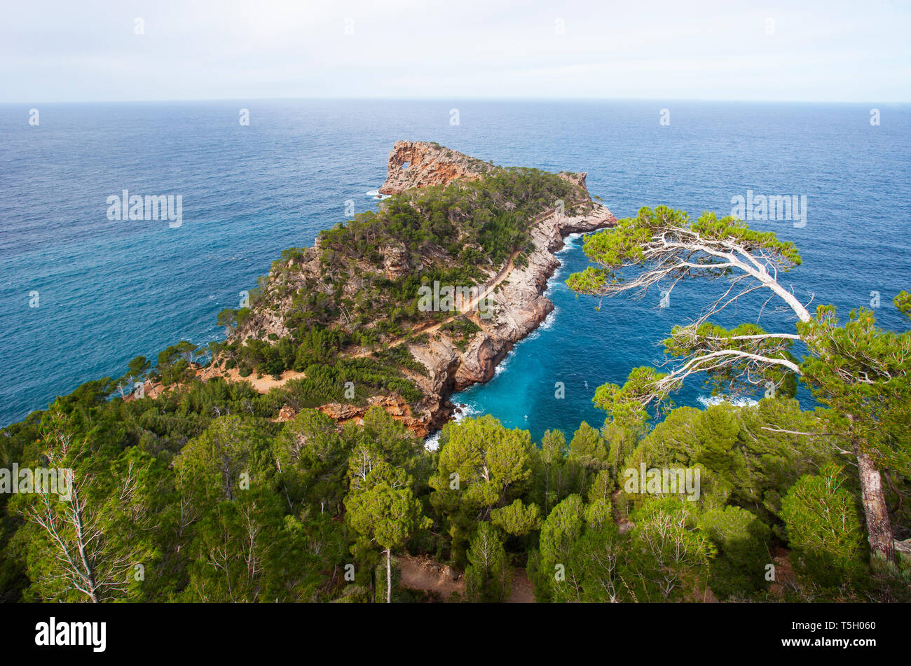 Sa foradada peninsula hi-res stock photography and images - Alamy