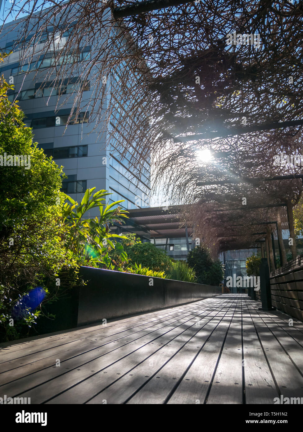 Low Angle Portrait of Path Through Garden in the City Stock Photo - Alamy
