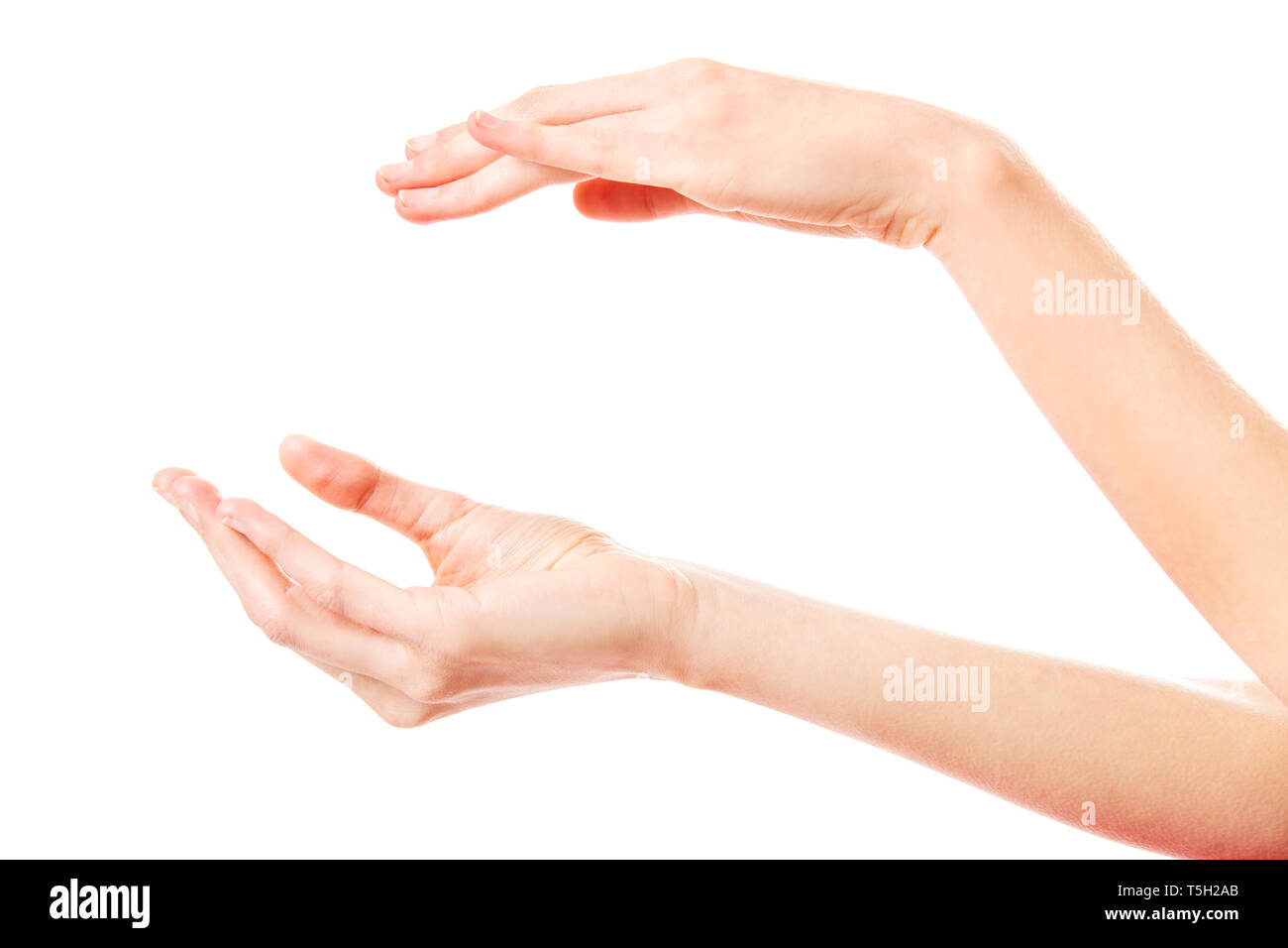 Beautiful women hands showing empty space, isolated on white background ...