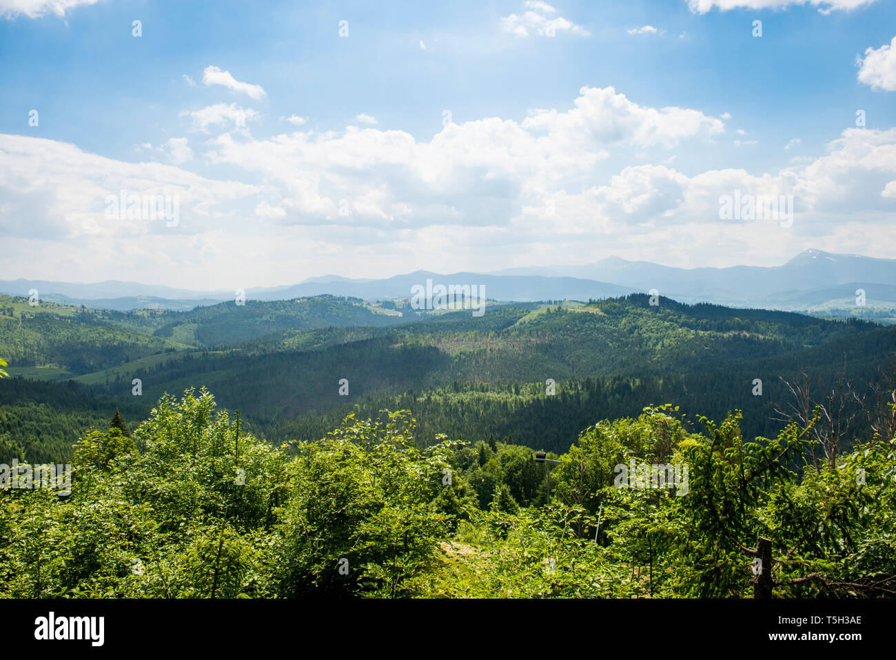 Ukraine mountains hi-res stock photography and images - Alamy