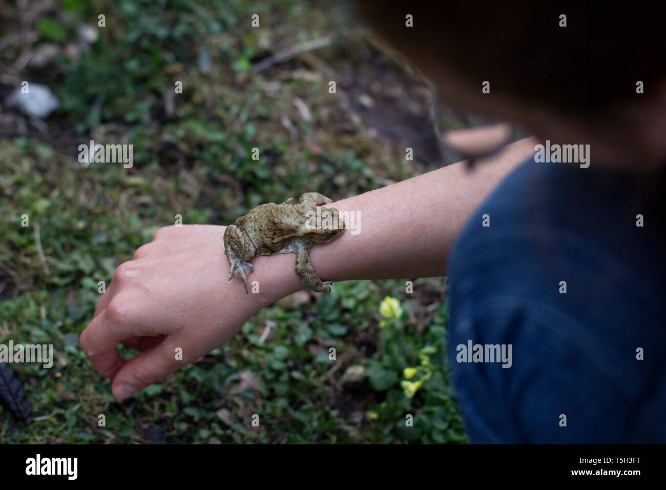 Womans arm hi-res stock photography and images - Alamy