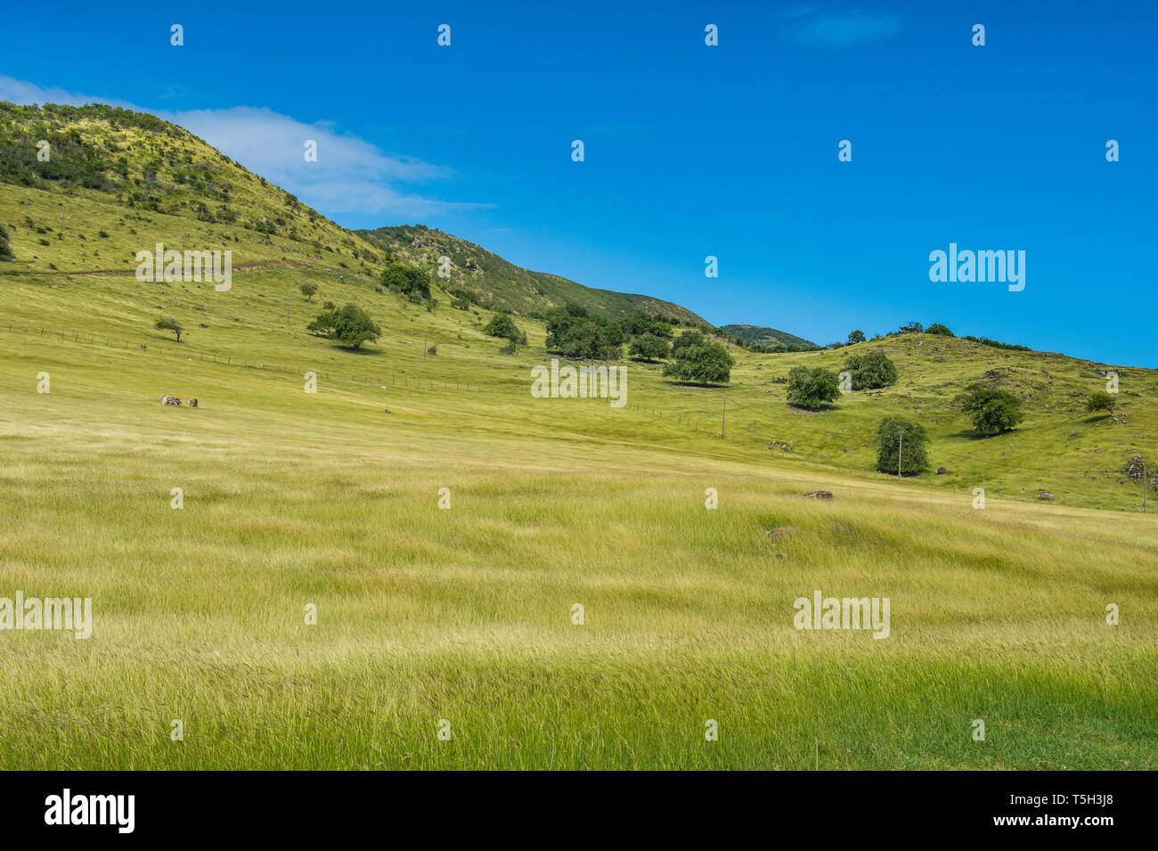 Grasland hi-res stock photography and images - Alamy