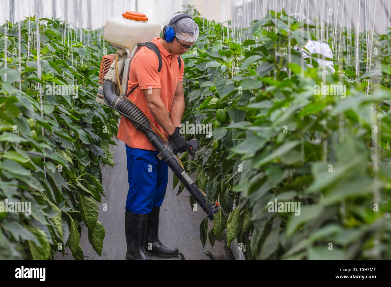 Fertilizer for plants hi-res stock photography and images - Alamy