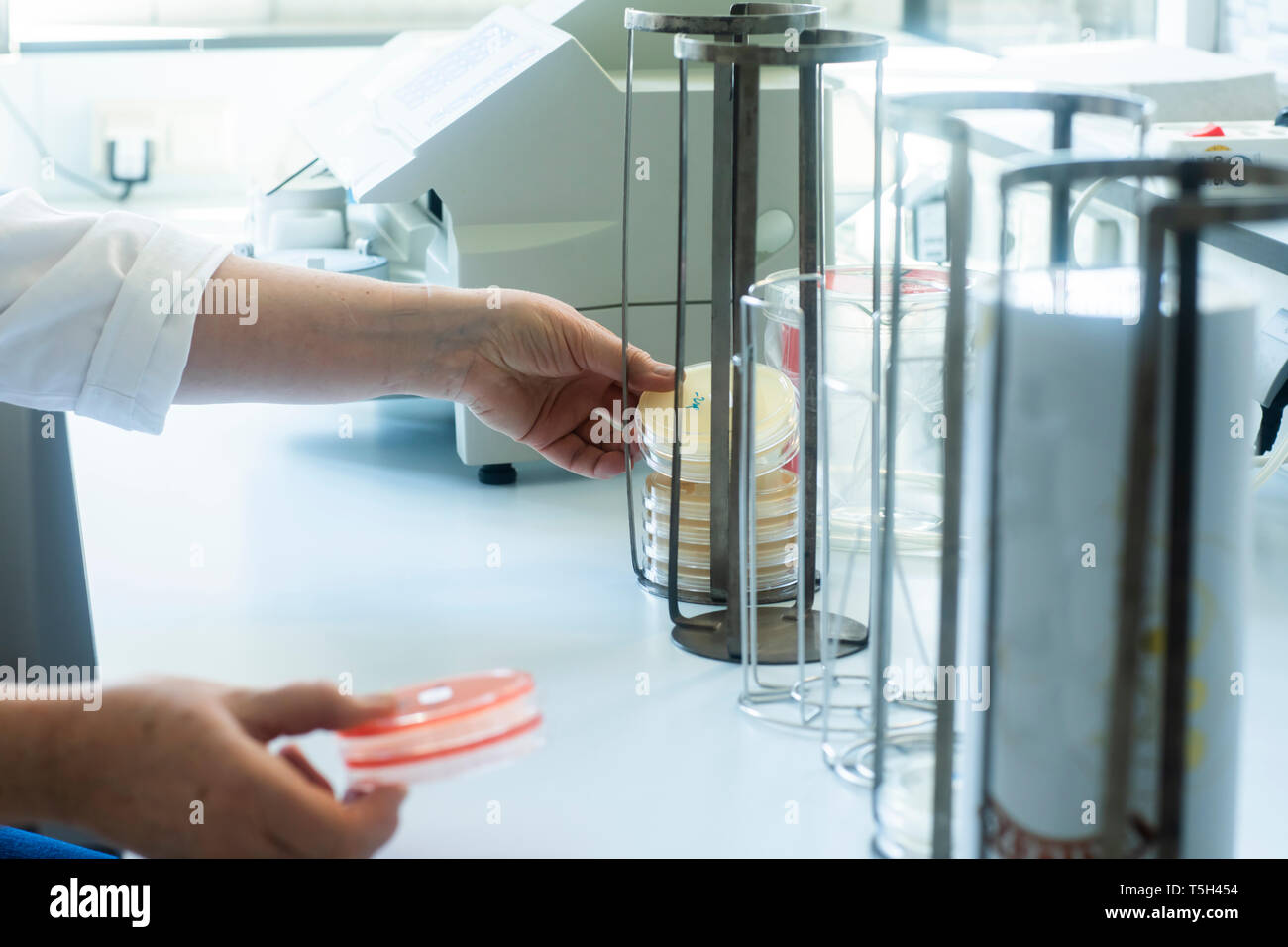 Rack lab hi-res stock photography and images - Alamy