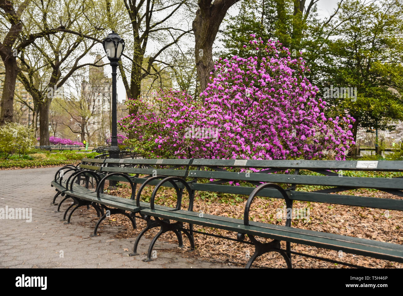 Central park the mall spring hi-res stock photography and images - Alamy
