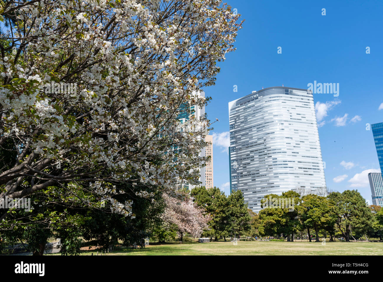 Chuo ku skyline hi-res stock photography and images - Alamy