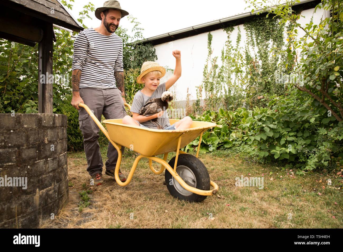 Cheerful man pushing son sitting in wheelbarrow holding chicken Stock ...