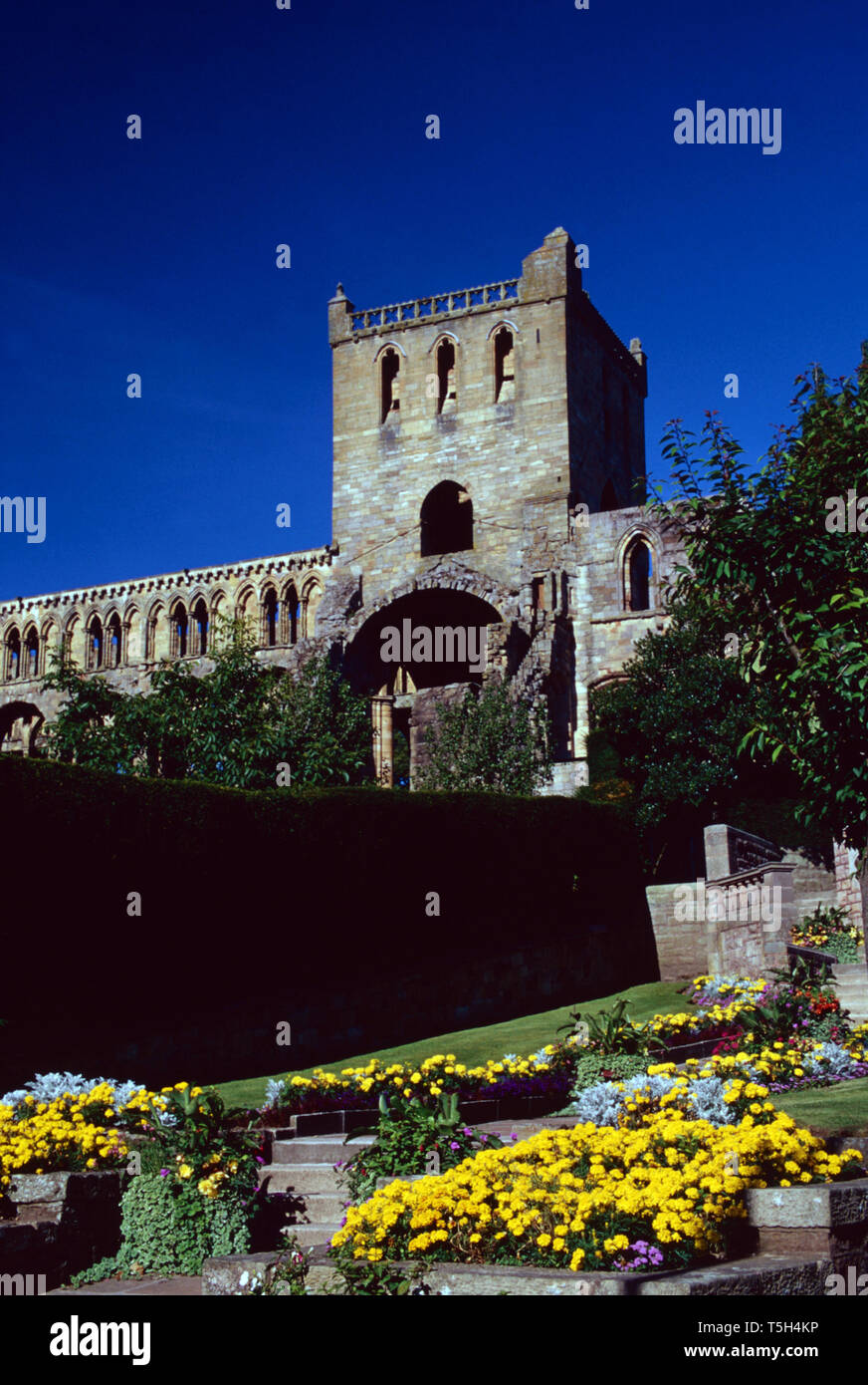 Jedburgh abbey scotland hi-res stock photography and images - Alamy
