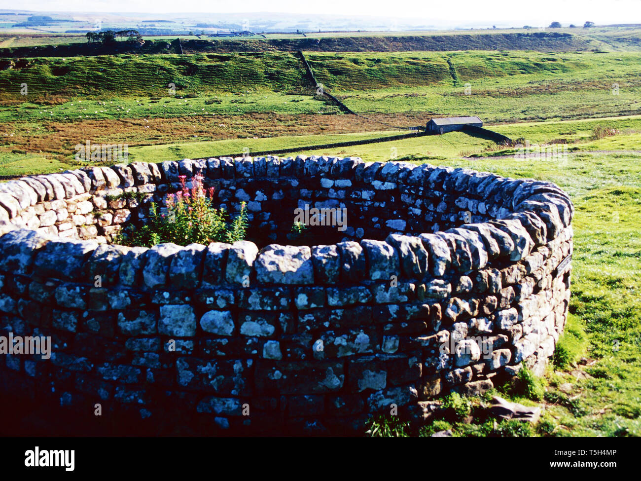 Hadrian's Wall at Housesteads Roman Fort,Scottish Borders,England Stock ...