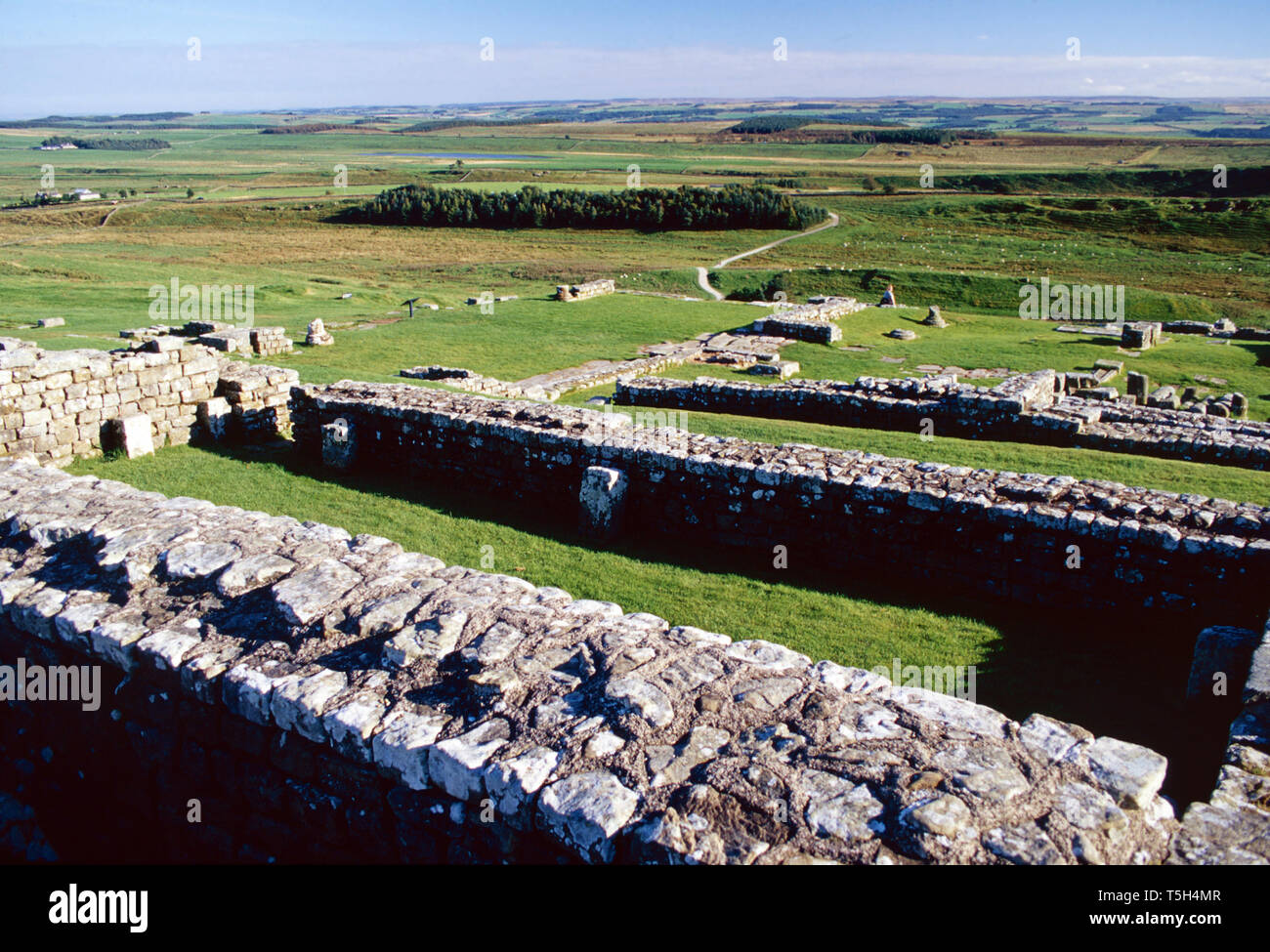 Hadrian's Wall at Housesteads Roman Fort,Scottish Borders,England Stock ...