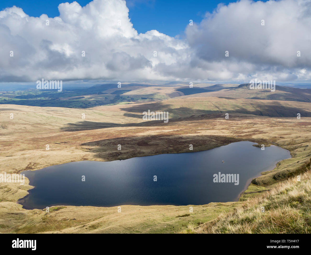 UK, Wales, Brecon Beacons National Park, Black Mountain Range, Llyn y ...