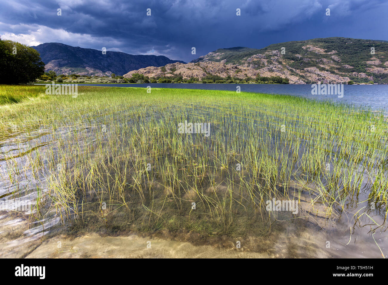 Zamora province hi-res stock photography and images - Alamy