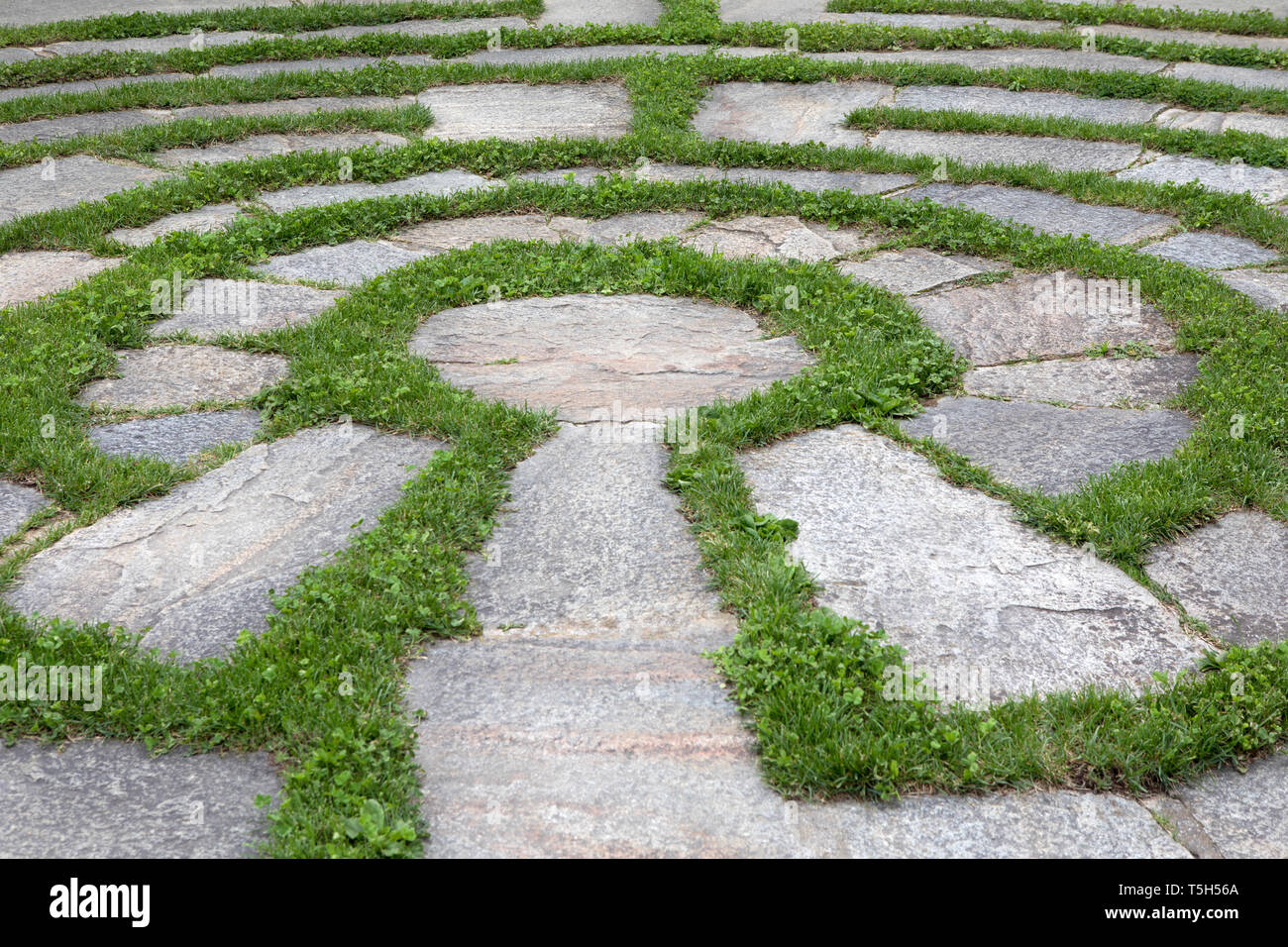 Natural maze hi-res stock photography and images - Alamy