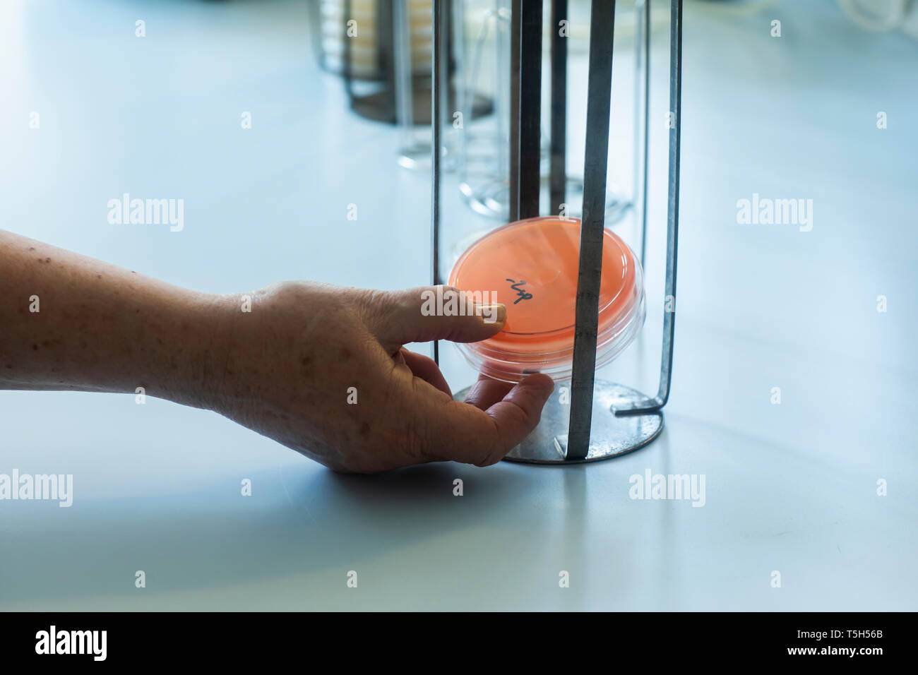 Sample rack hi-res stock photography and images - Alamy